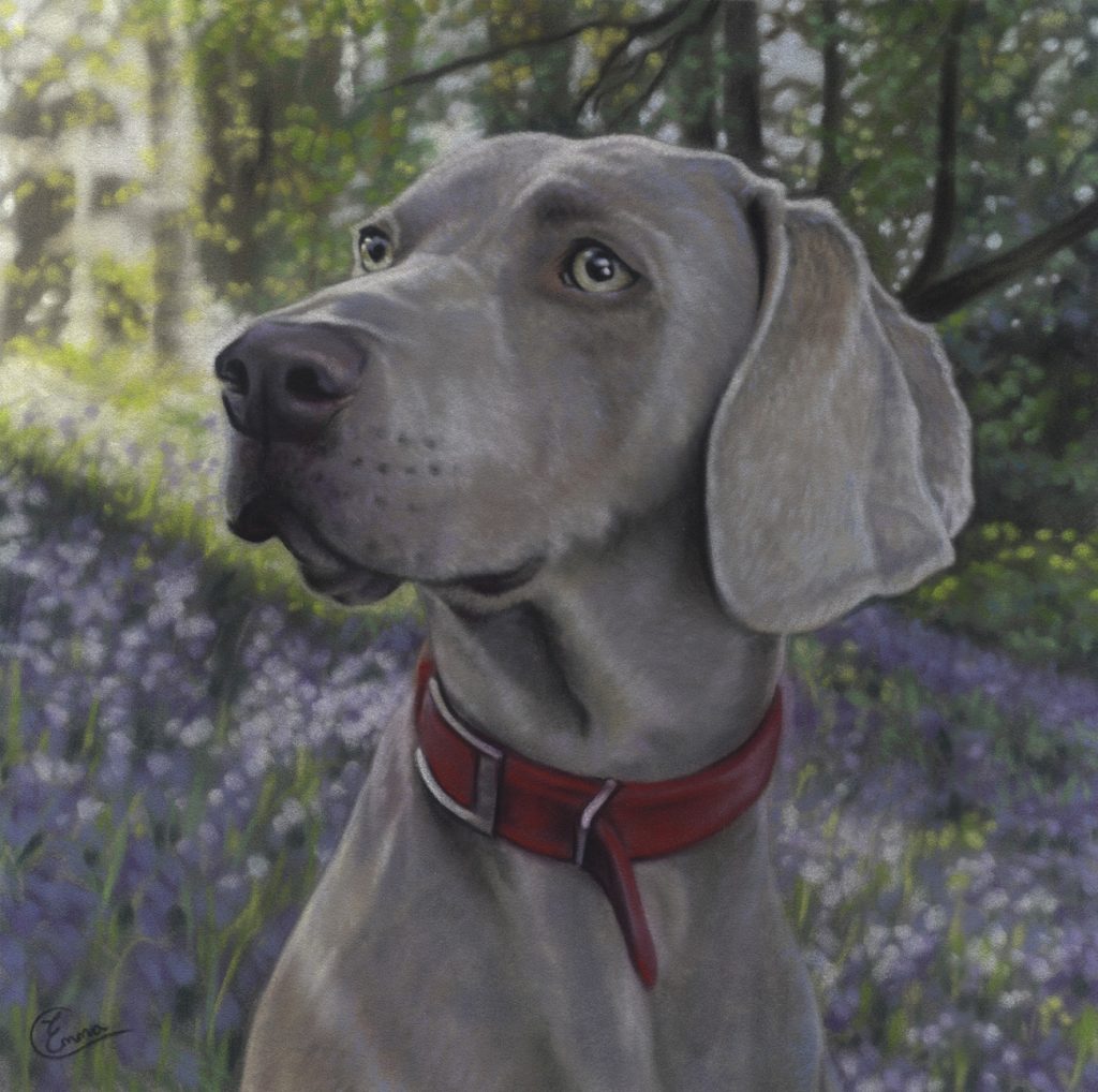 Emma Colbert On Painting Fur In Soft Pastels - How to Pastel