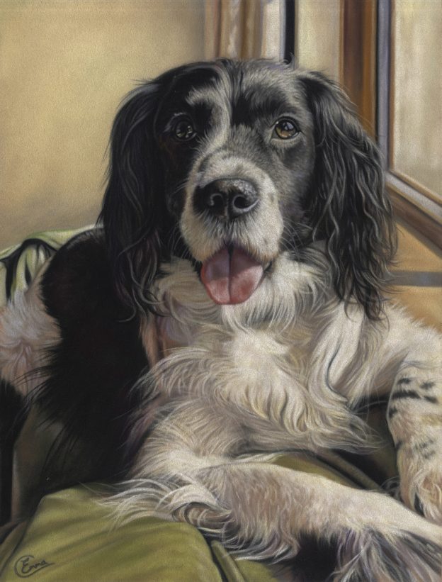 Emma Colbert On Painting Fur In Soft Pastels - How to Pastel