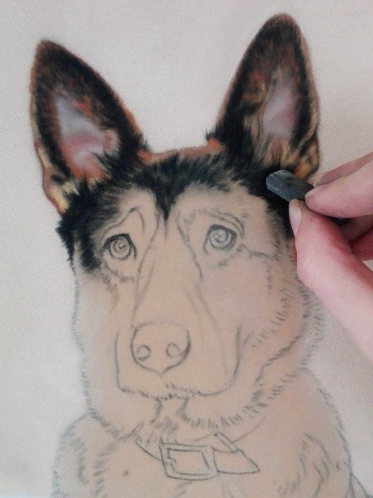 Emma Colbert On Painting Fur In Soft Pastels - How to Pastel