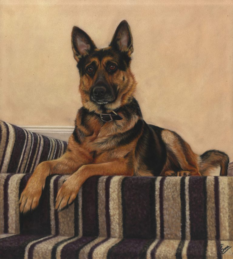 Emma Colbert On Painting Fur In Soft Pastels - How to Pastel