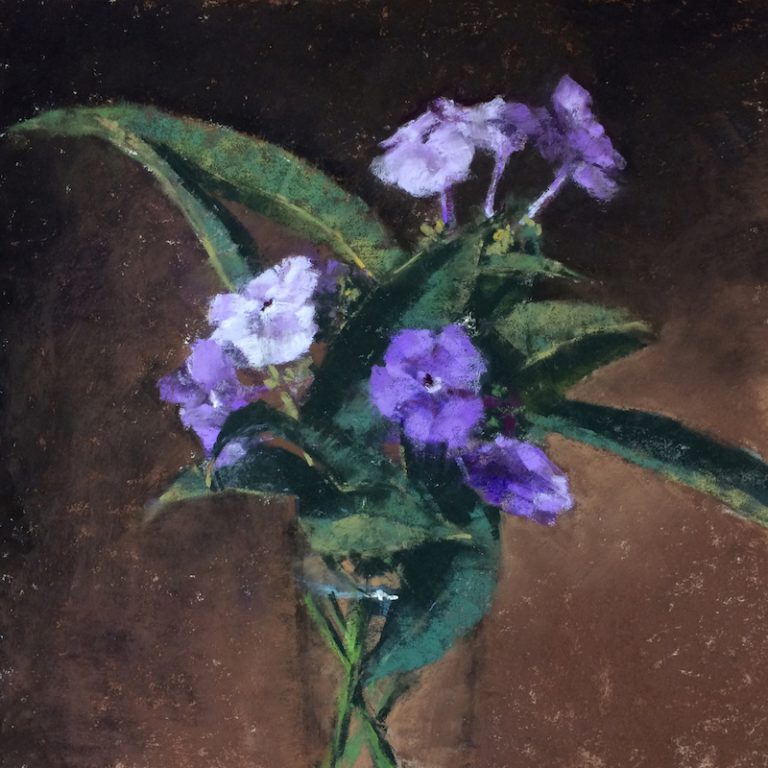 Jeanne Tangney - Luminous Stillness - How to Pastel