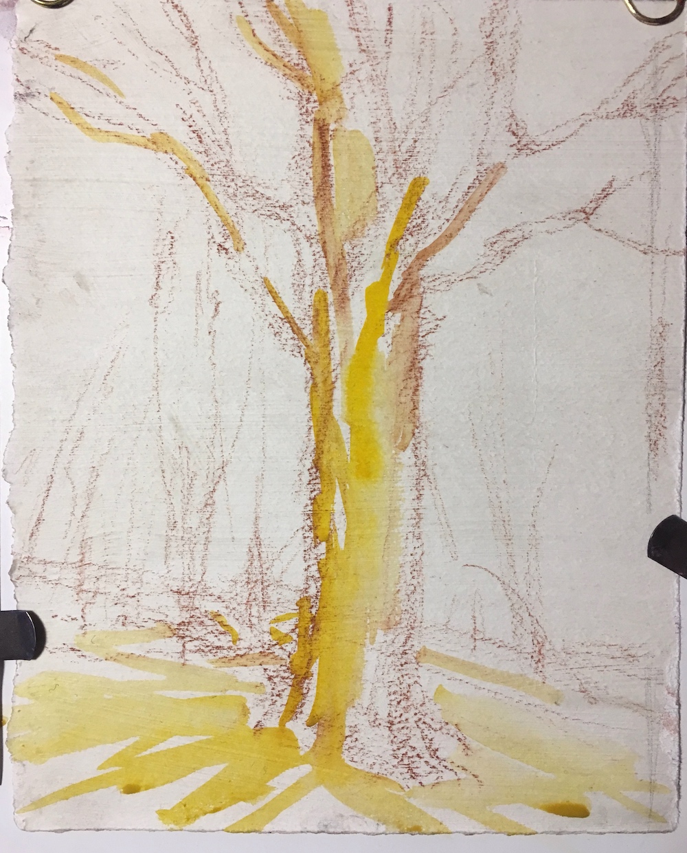 Susan Story - Painting the Spirit of Trees - How to Pastel