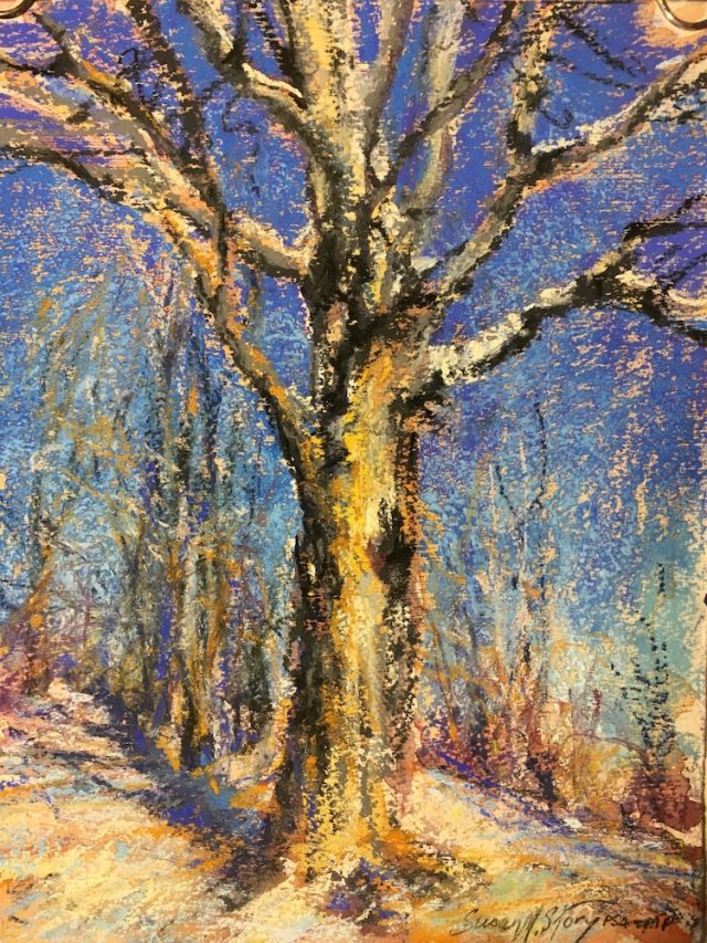 Susan Story - Painting the Spirit of Trees - How to Pastel