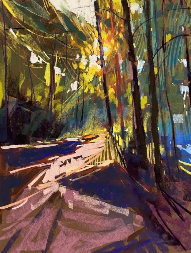 Tara Will - Painting The Energy Of The Landscape - How to Pastel