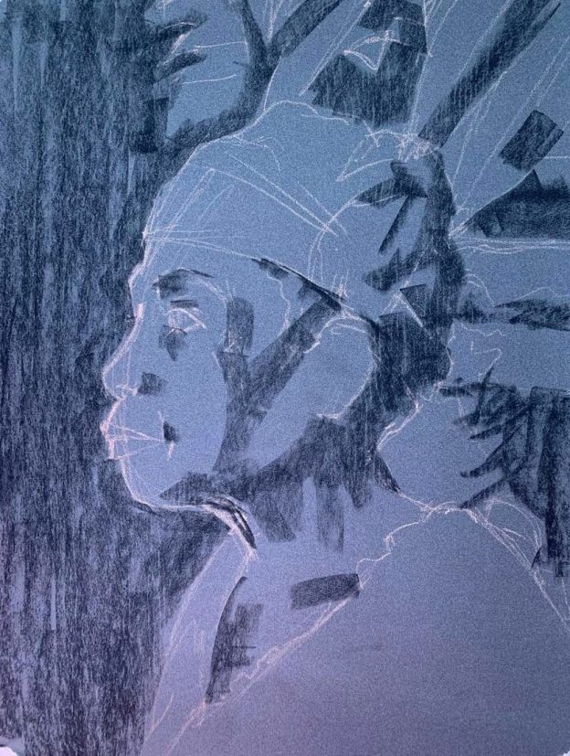 Lynn Howarth - Portraits That Capture Likeness And Soul - How to Pastel