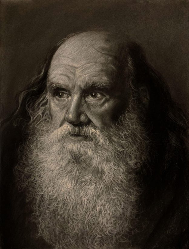 Lynn Howarth - Portraits That Capture Likeness And Soul - How to Pastel